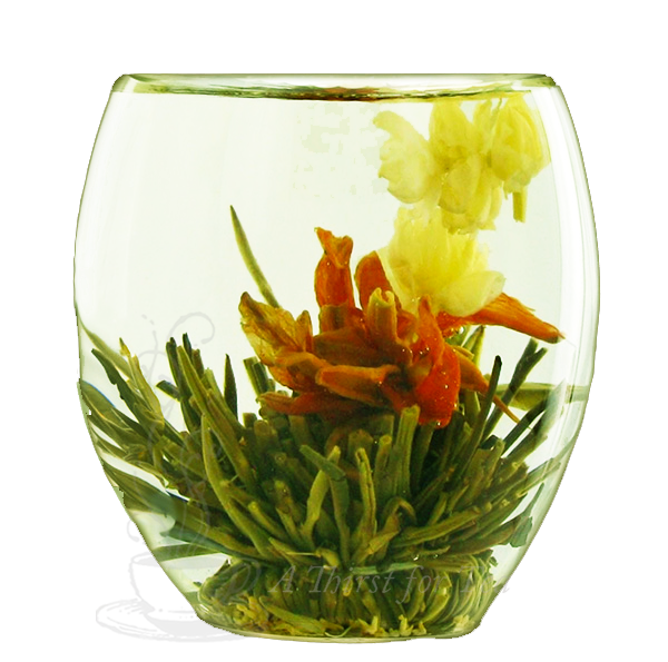 Orient Pearl Blooming Green Tea with Orange Flame Lily & Jasmine
