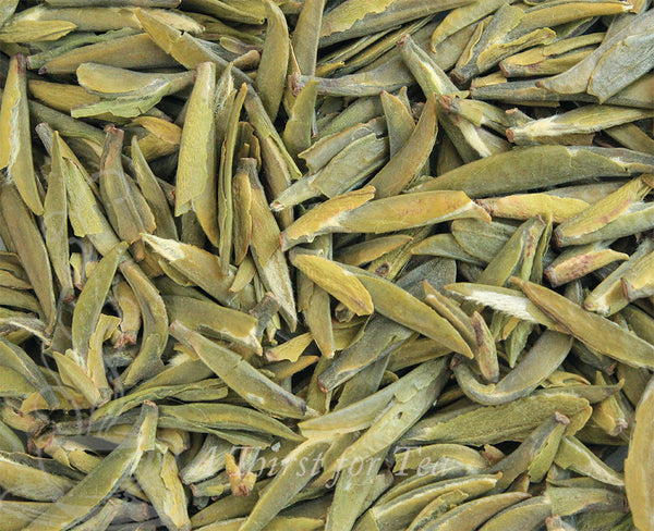 This historic green tea from Fuxi is one of China's most famous teas