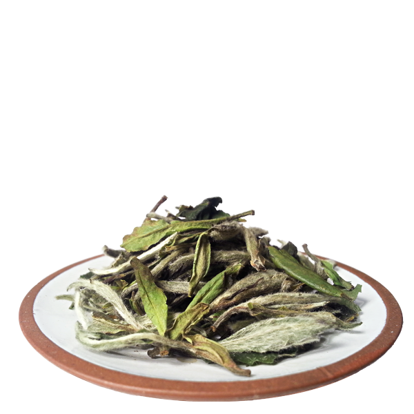 White Tea Gift Sampler: T-Press & 3 Tins of White Tea!