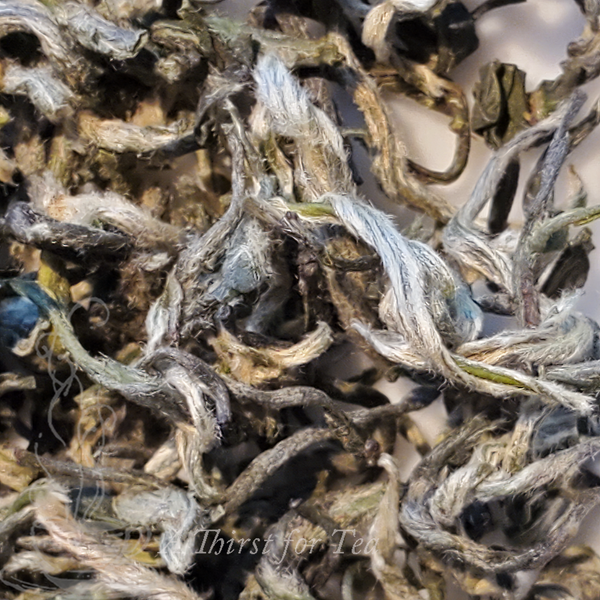 Silver Curls Chinese Green Tea