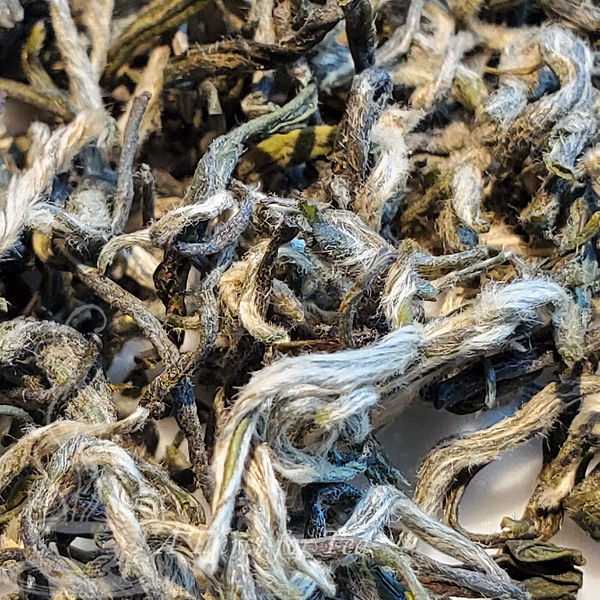 Silver Curls Chinese Green Tea